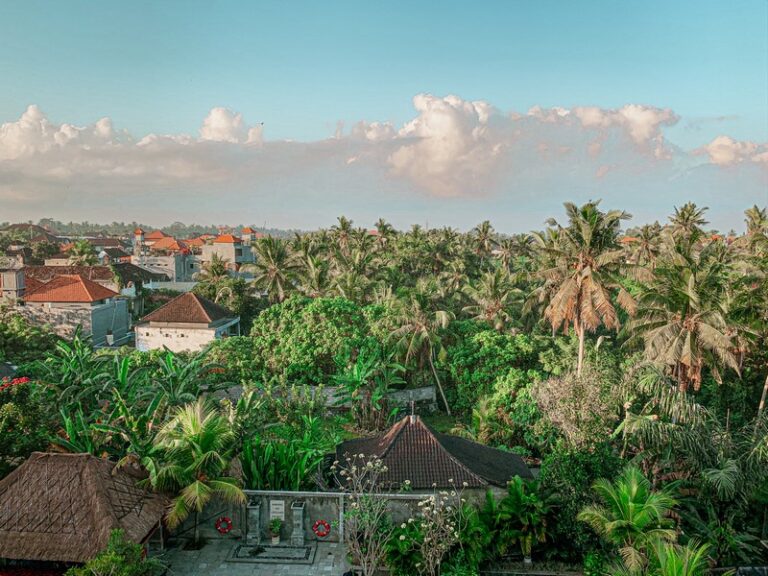 Element Bali Ubud: Where To Stay In Ubud With Kids - Oh The Places They ...