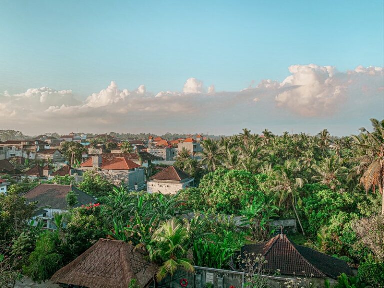 Element Bali Ubud: Where To Stay In Ubud With Kids - Oh The Places They ...