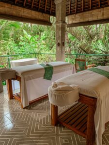 Element Bali Ubud: Where To Stay In Ubud With Kids - Oh The Places They ...