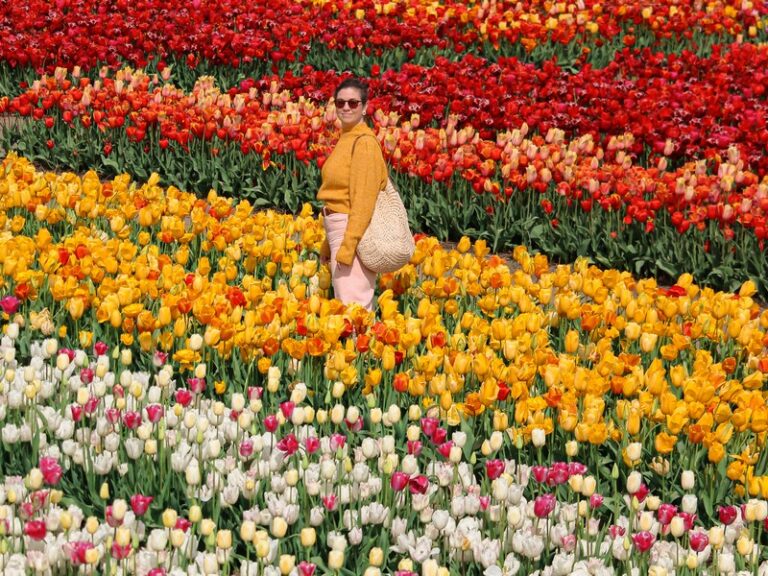 The Tulip Barn: An Experiential Tulip Field In The Netherlands - Oh The Places They Went