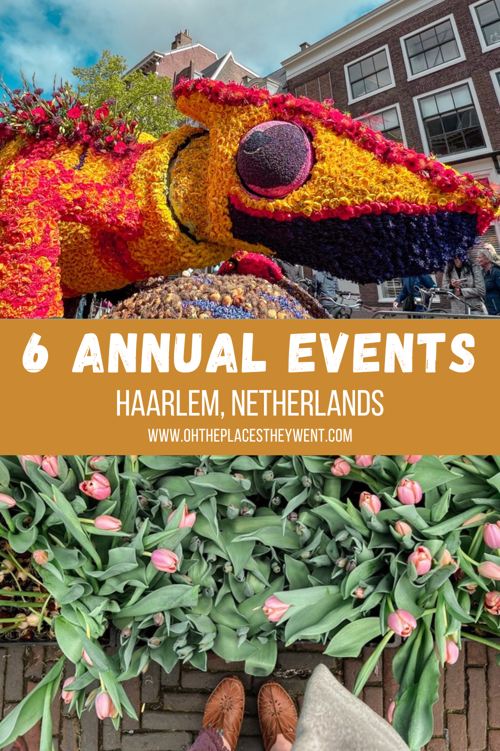 6 Must See Annual Events In Haarlem’s Grote Markt - Oh The Places They Went